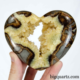 Septarian Nodule Heart, 4.3 inches (#H0263 Madagascar)