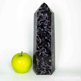 Large Indigo Gabbro Point, 10 inches (Madagascar #F0279) 6 Pounds