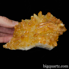 Golden Iron Oxide Quartz Cluster, 5 inches (Arkansas #H0082) 1 pound