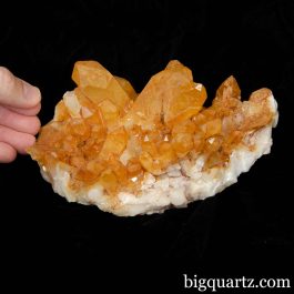 Golden Iron Oxide Quartz Cluster, 6.75 inches (Arkansas #H0085) 2.4 pounds
