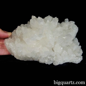 Buy Quartz Crystal Points, Clusters, and Sculptures online. Points of ...